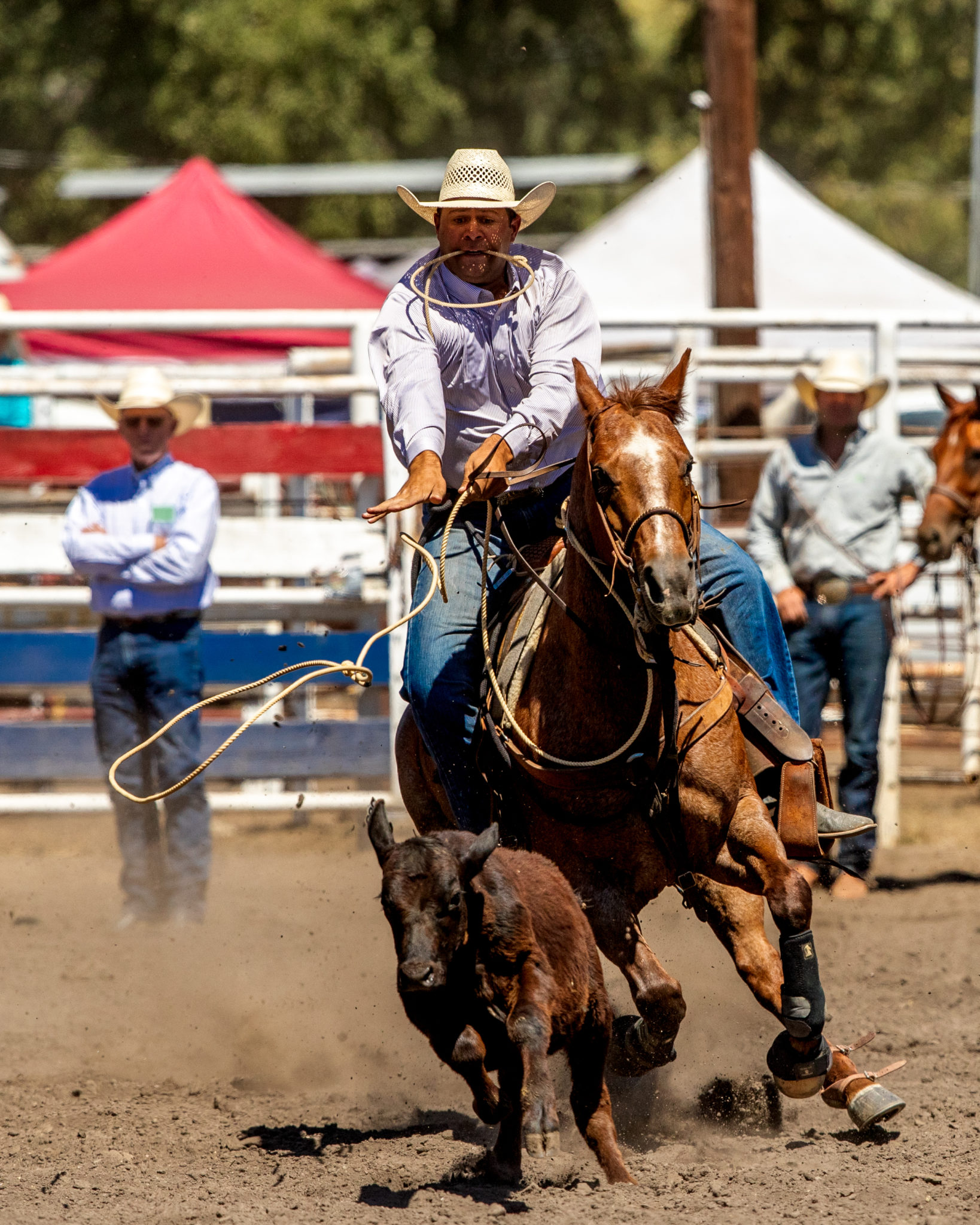 Roping & Barrel Racing Event Information